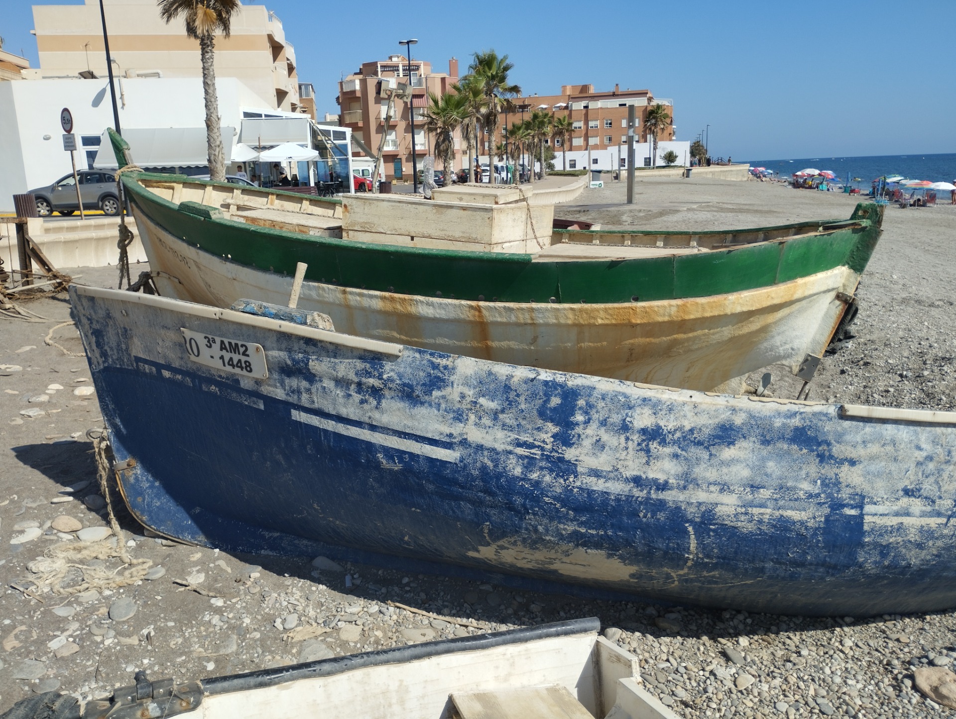 BALERMA :: AUNANDO ESFUERZOS: PESCA Y CONSERVACIÓN